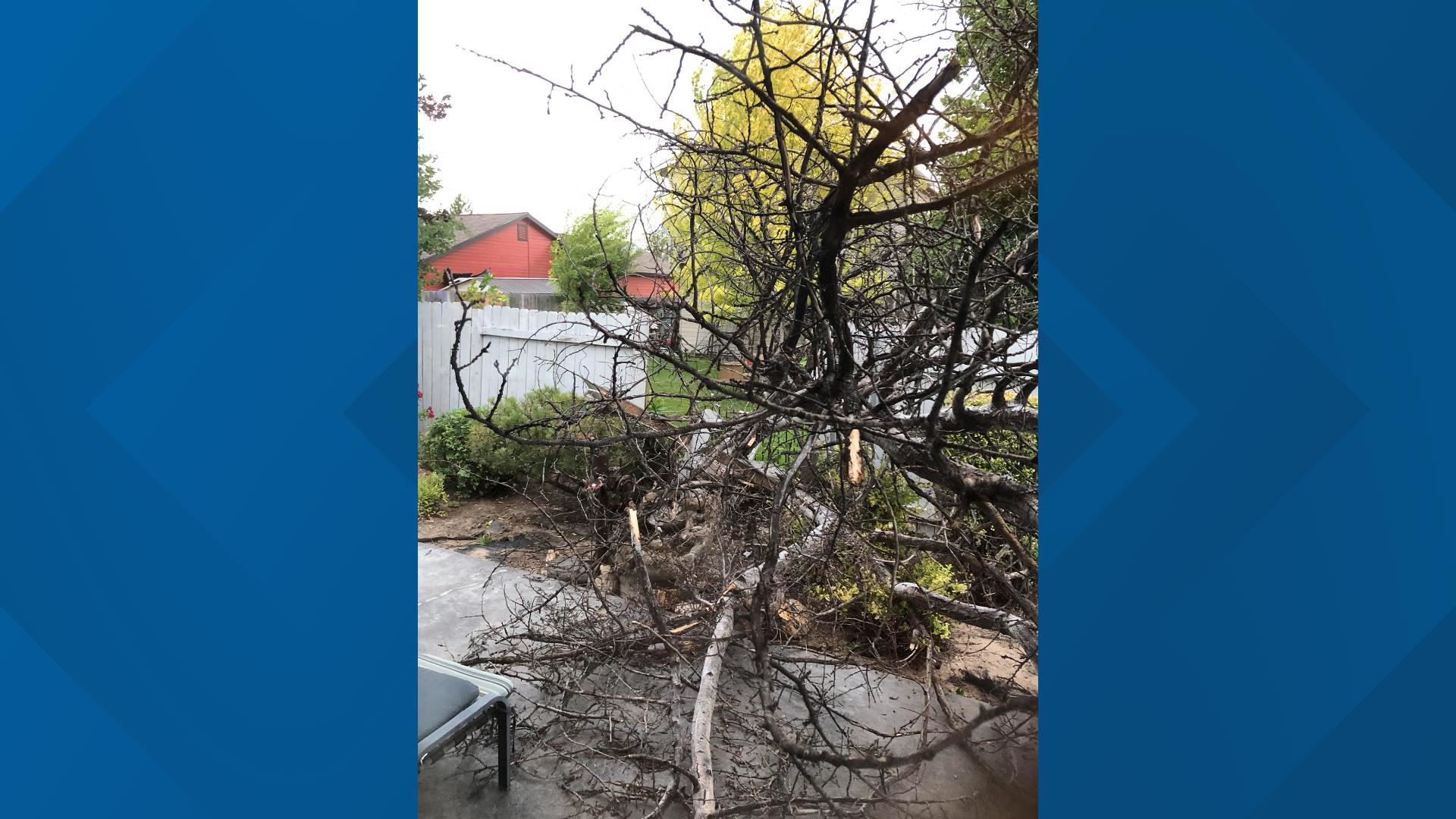 Treasure Valley hit by storms: Power outages and fallen trees | ktvb.com