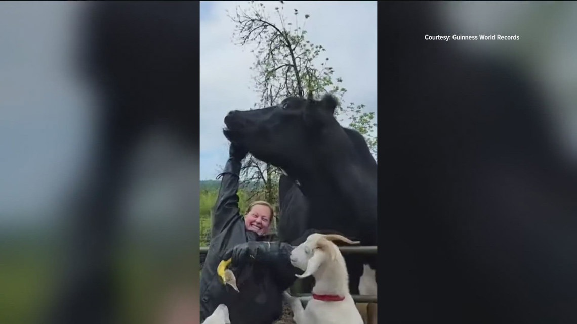 Oregon's 'Romeo' claims Guiness World Record title of world's tallest ...