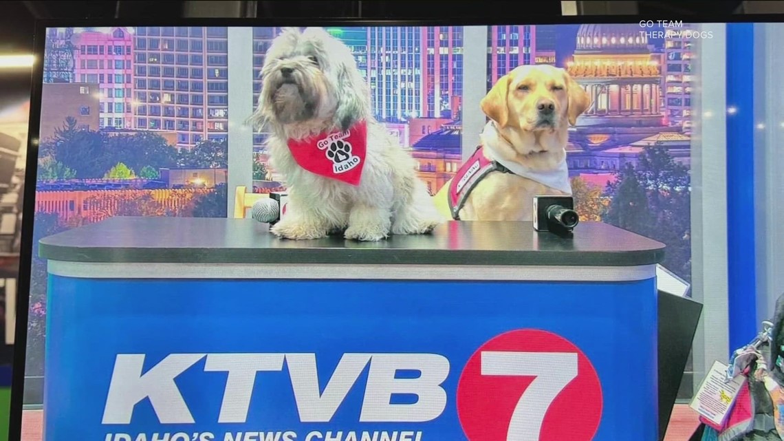 KTVB at the Children's Museum is loved by all | ktvb.com