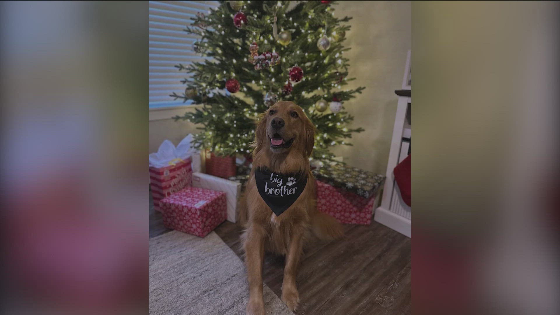 News Headlines | ktvb.com