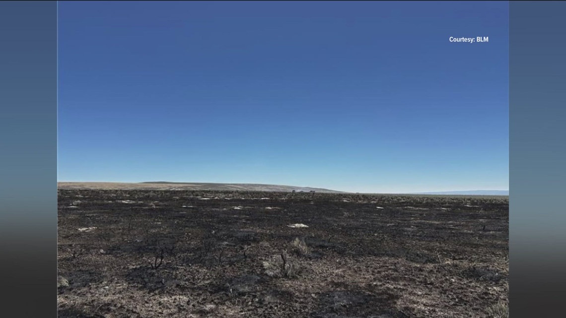 Bigfoot Fire expected to be under full control by Friday afternoon ...