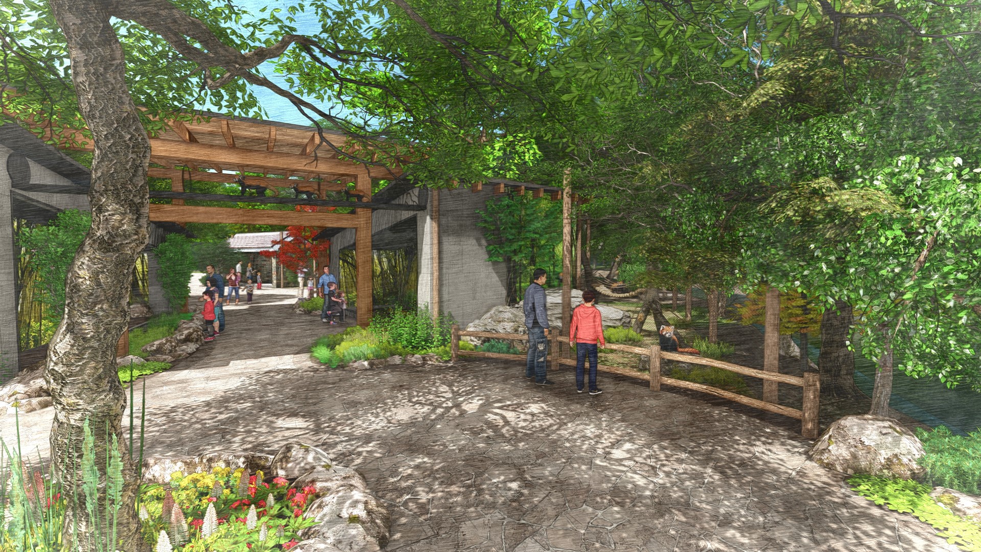 Zoo Boise building new red panda habitat | ktvb.com