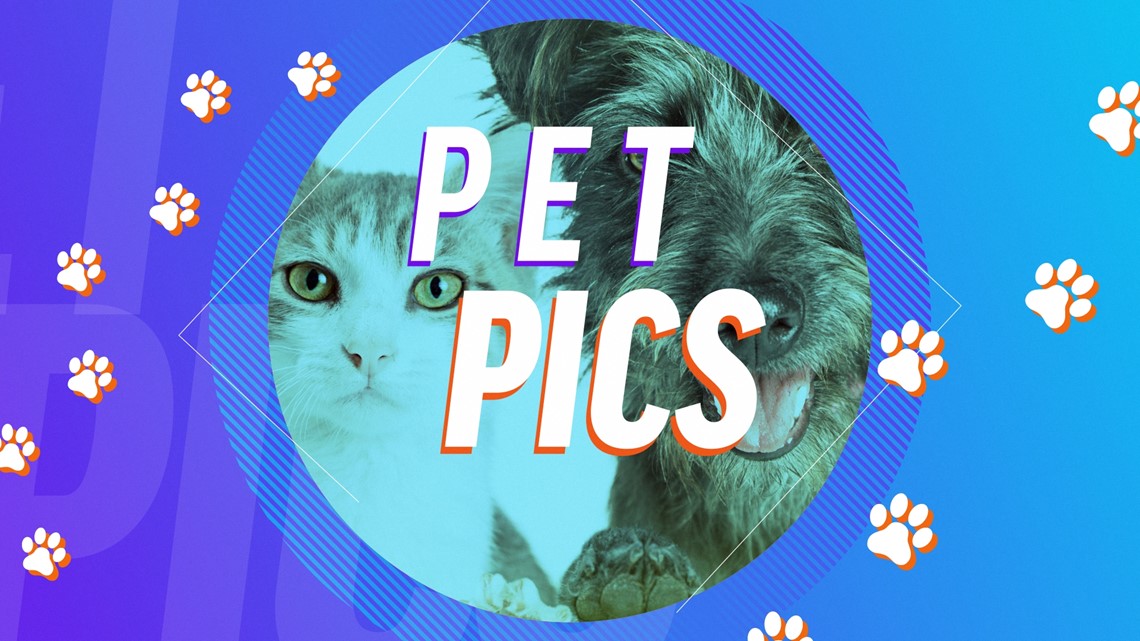 'It's about to go down': Meridian man brags about joining riot at U.S ...