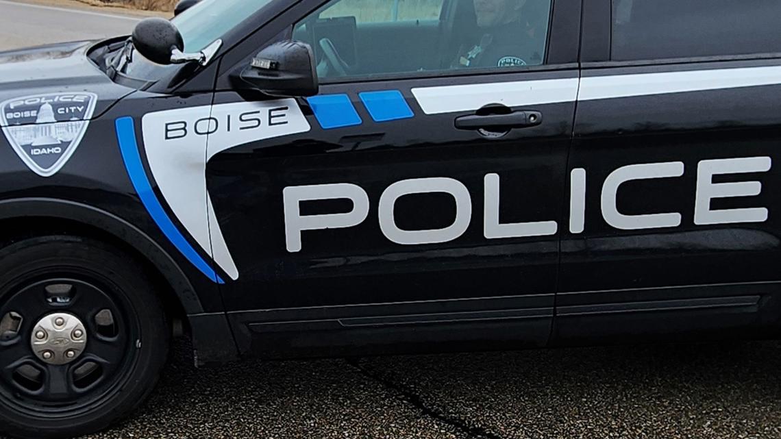 'Remove, reverse and reclaim': 50501 protest at Idaho Capitol | ktvb.com