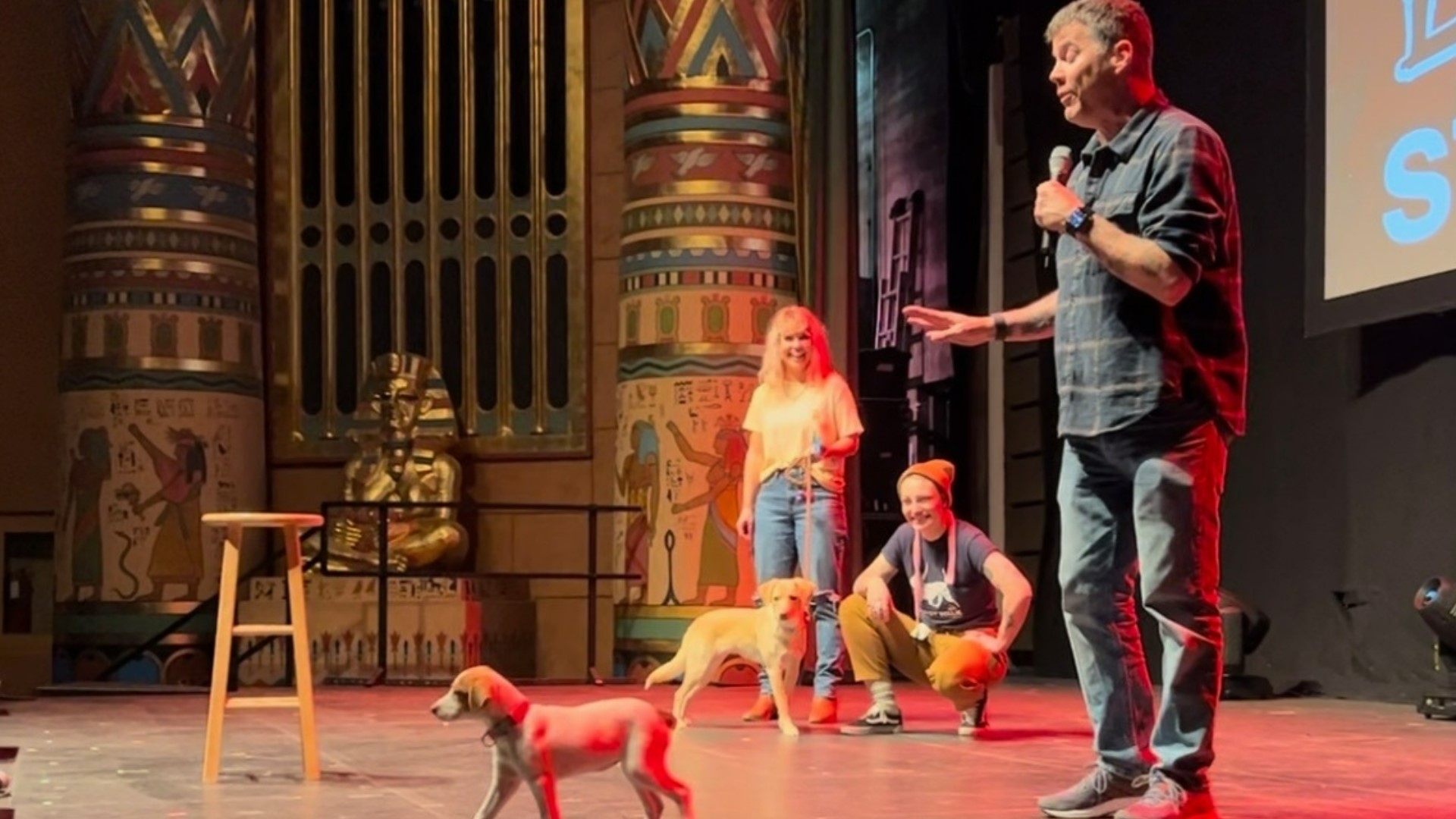 Steve-O helps Idaho Humane Society dog find 'furever' home, owner ...