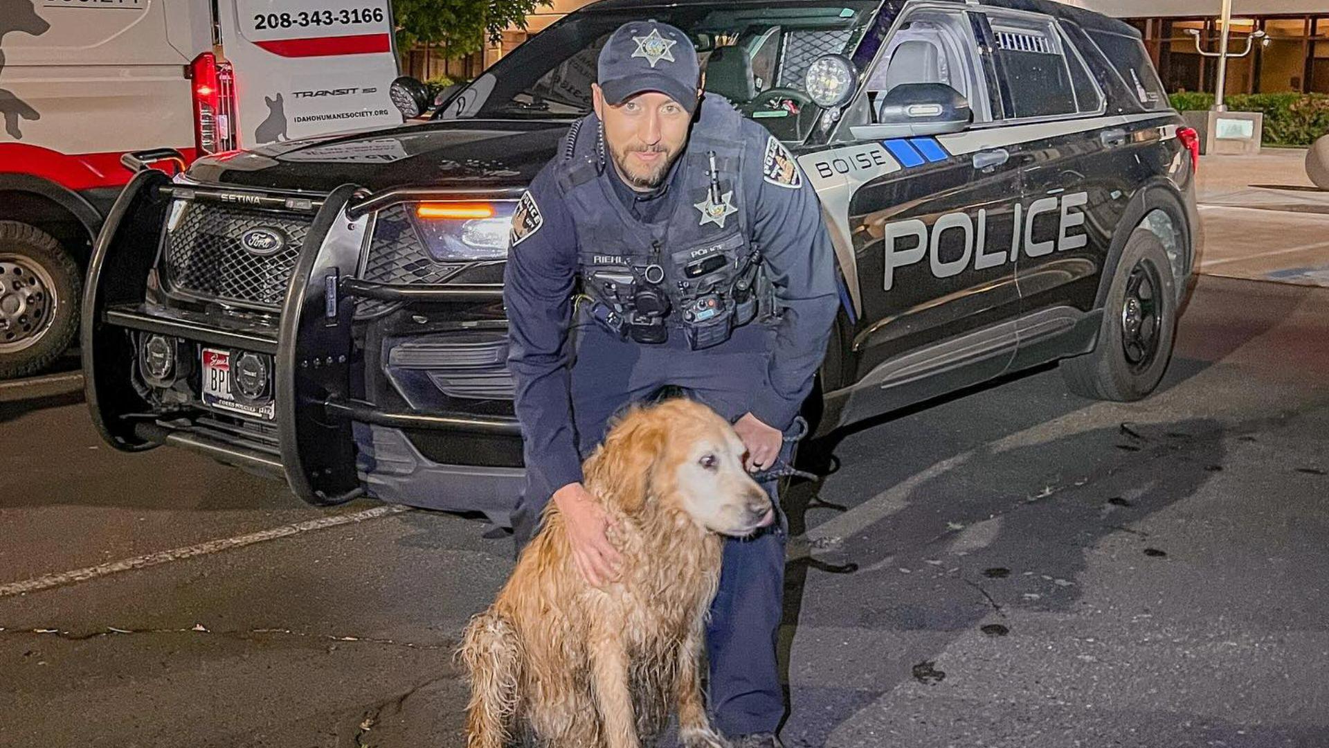 Boise police officer saves dog from irrigation canal | ktvb.com