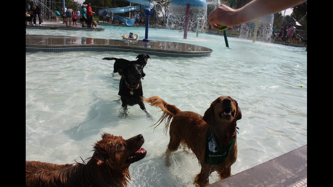 Pooch Party 2024 will raise money to support dog parks in Nampa | ktvb.com