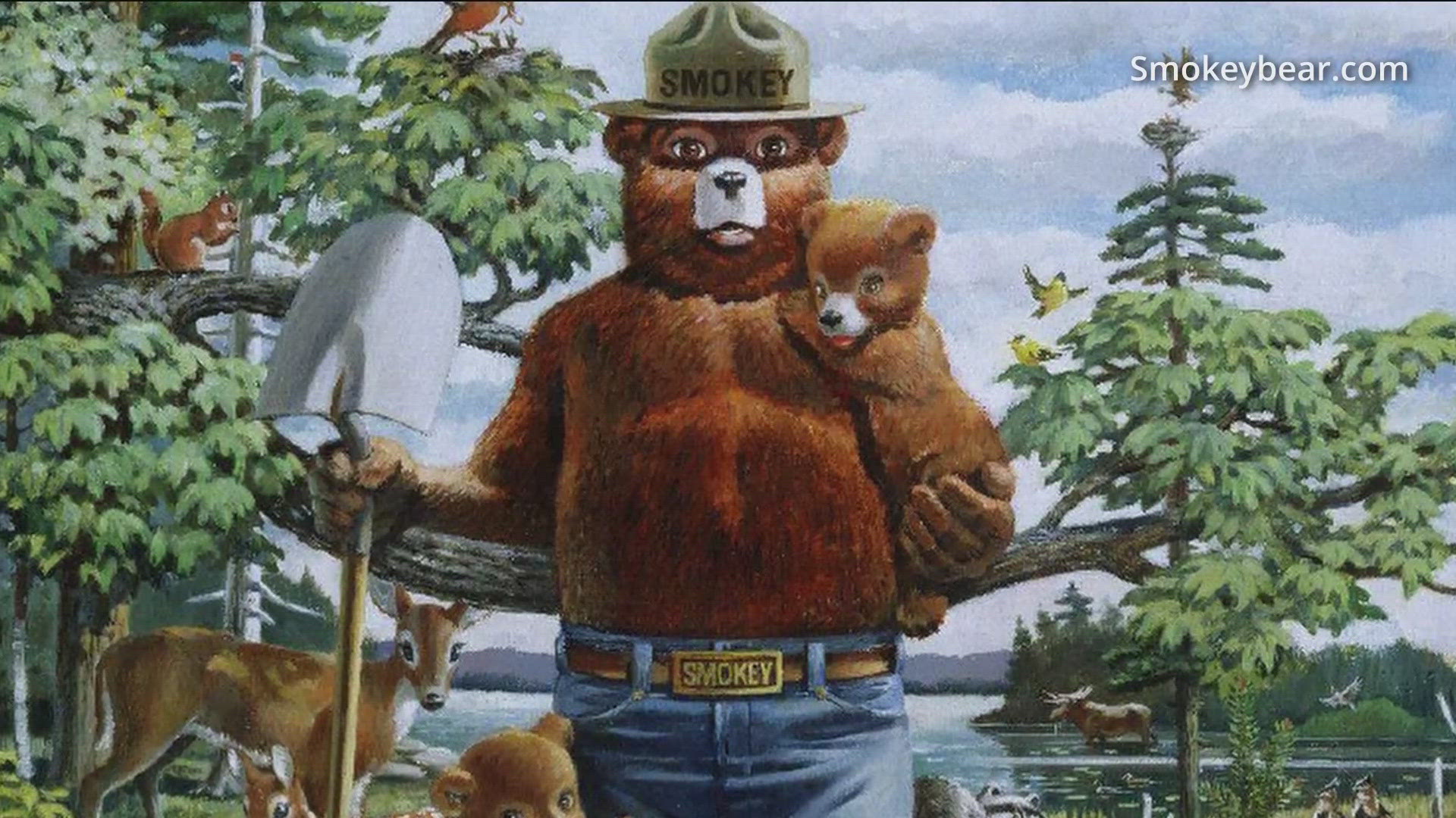 From orphaned cub to beloved icon: Smokey Bear turns 81 | ktvb.com