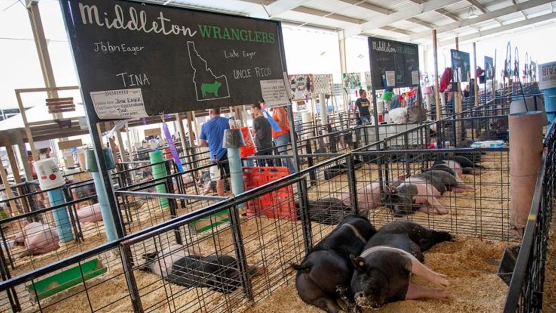 Canyon County Fair gets started in Caldwell | ktvb.com