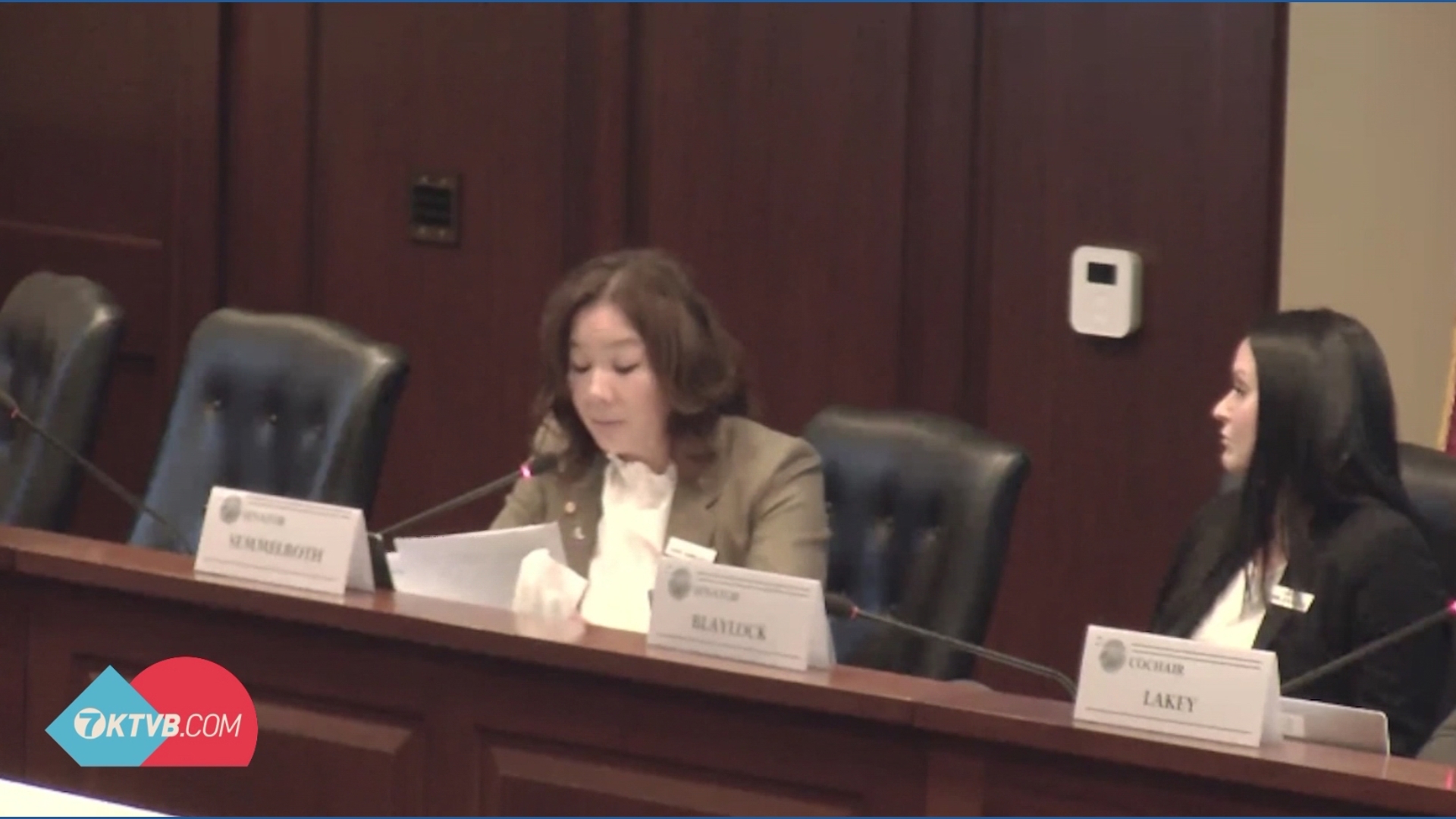 Idaho DOGE task force recommends exploring Medicaid expansion repeal ...