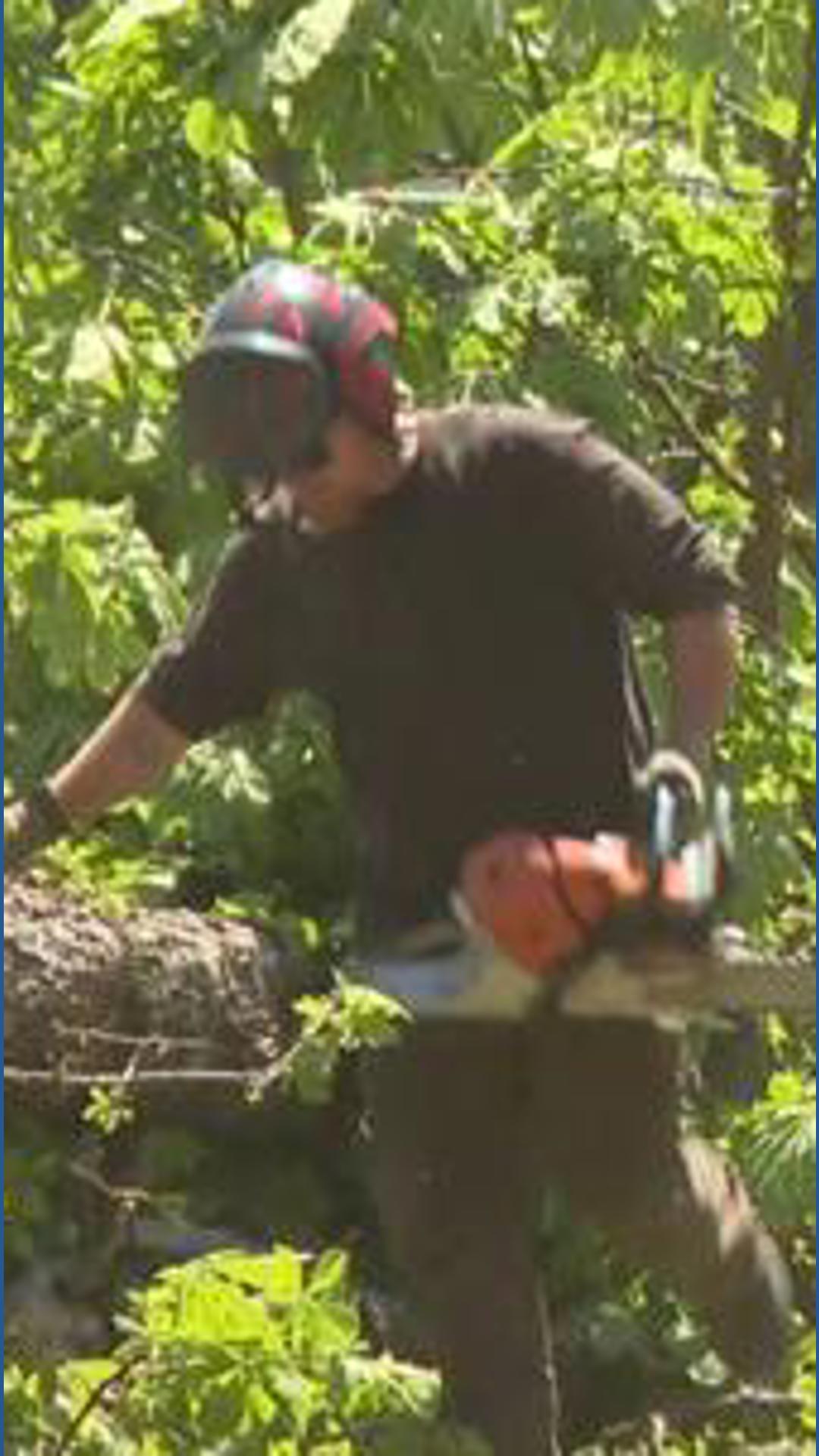 Boise VA Medical Center's expansion will cut down historic trees on ...