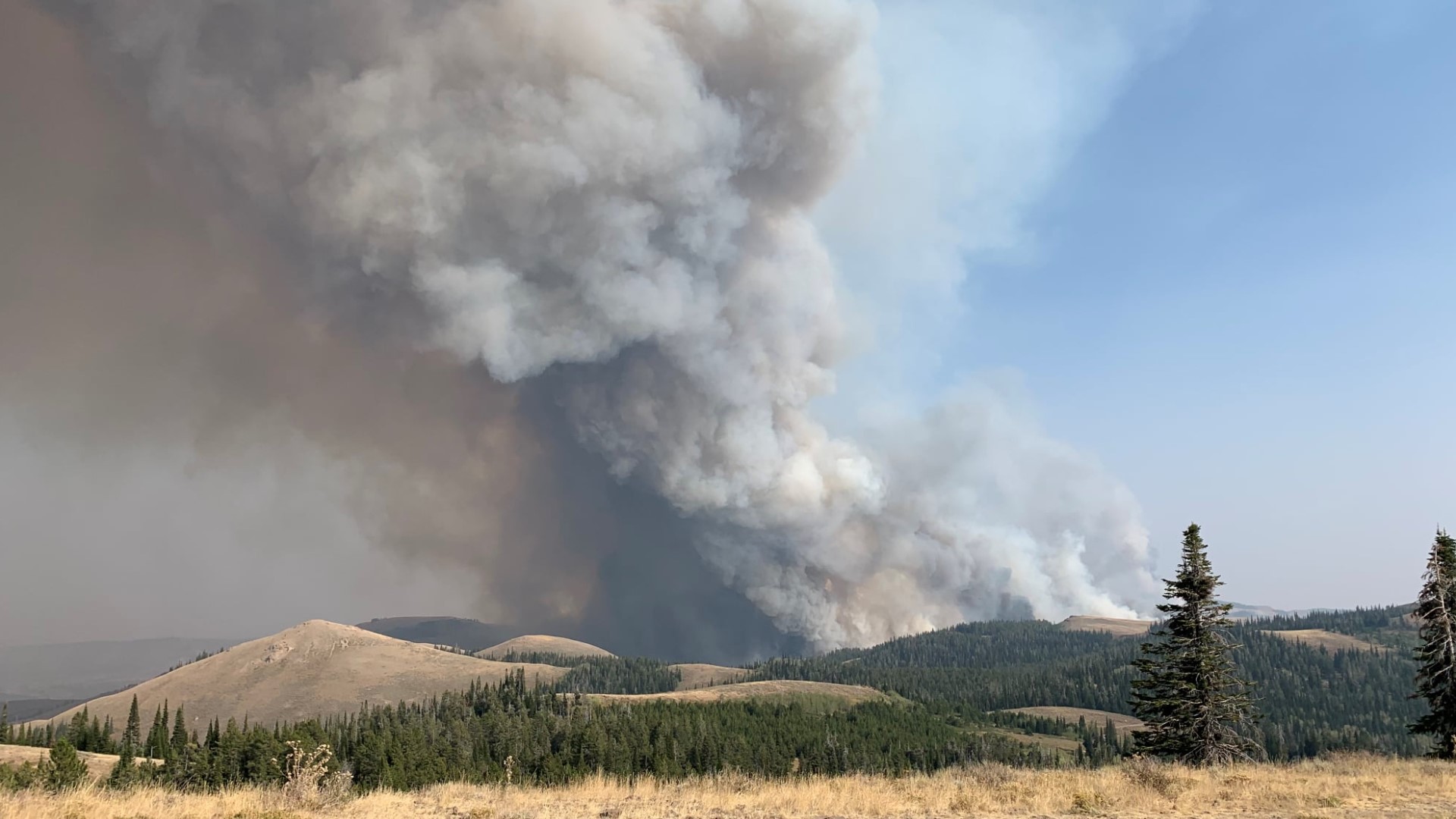Sawtooth National Forest $1.6 million funding for Badger Fire | ktvb.com