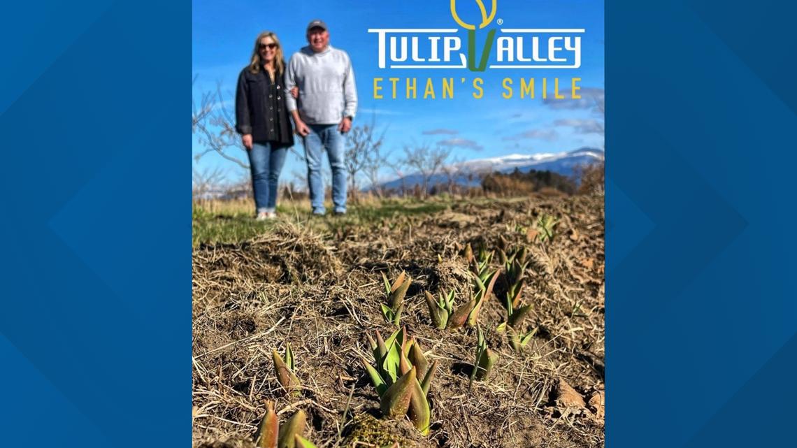 'The Boy Who Wore Blue' and Ethan's Smile Foundation | ktvb.com