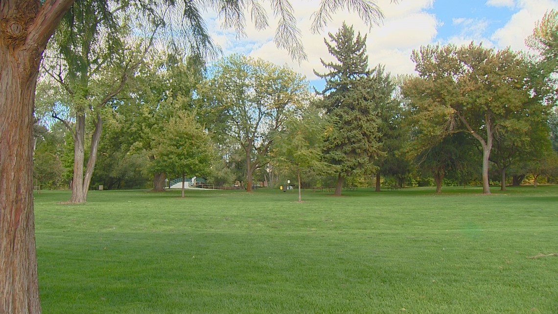 City of Trees announces initiative to plant 100,000 trees in Boise over ...