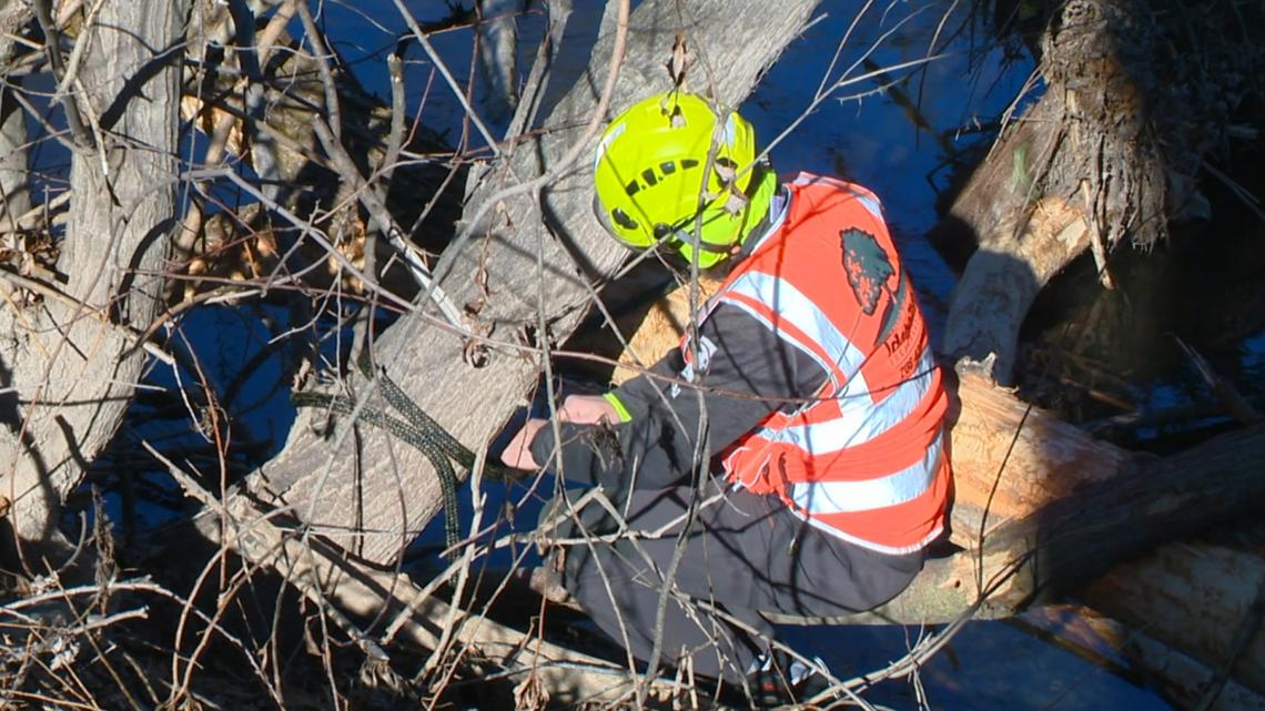 Flood district, anglers partner to preserve fallen tree for Boise River ...