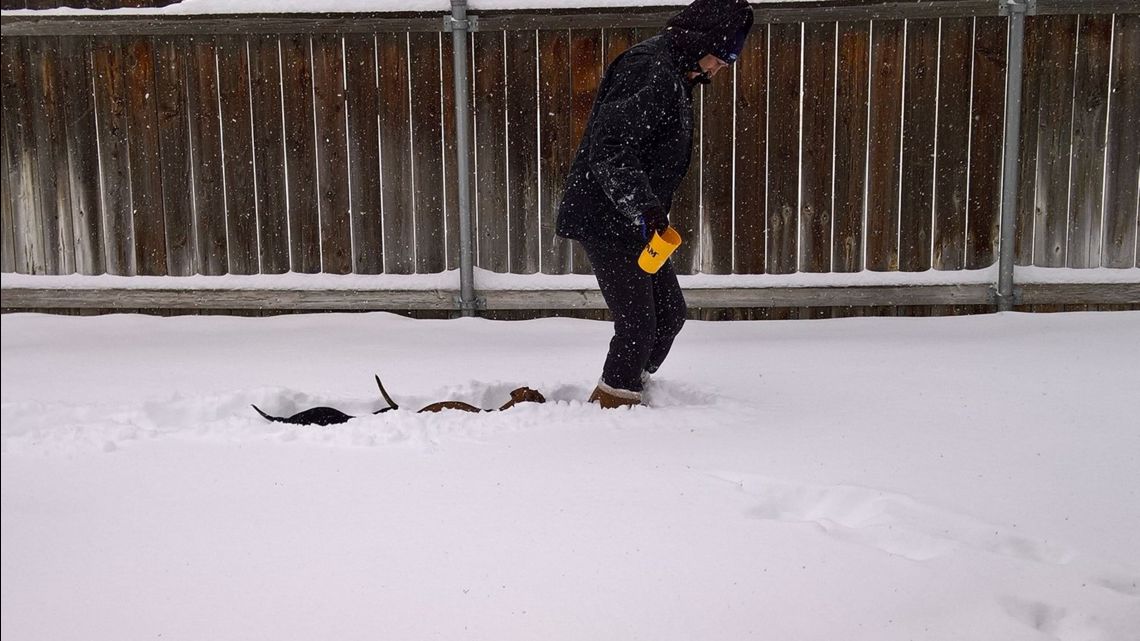 Snowmageddon 2017: Looking back at southern Idaho's epic snowy winter ...