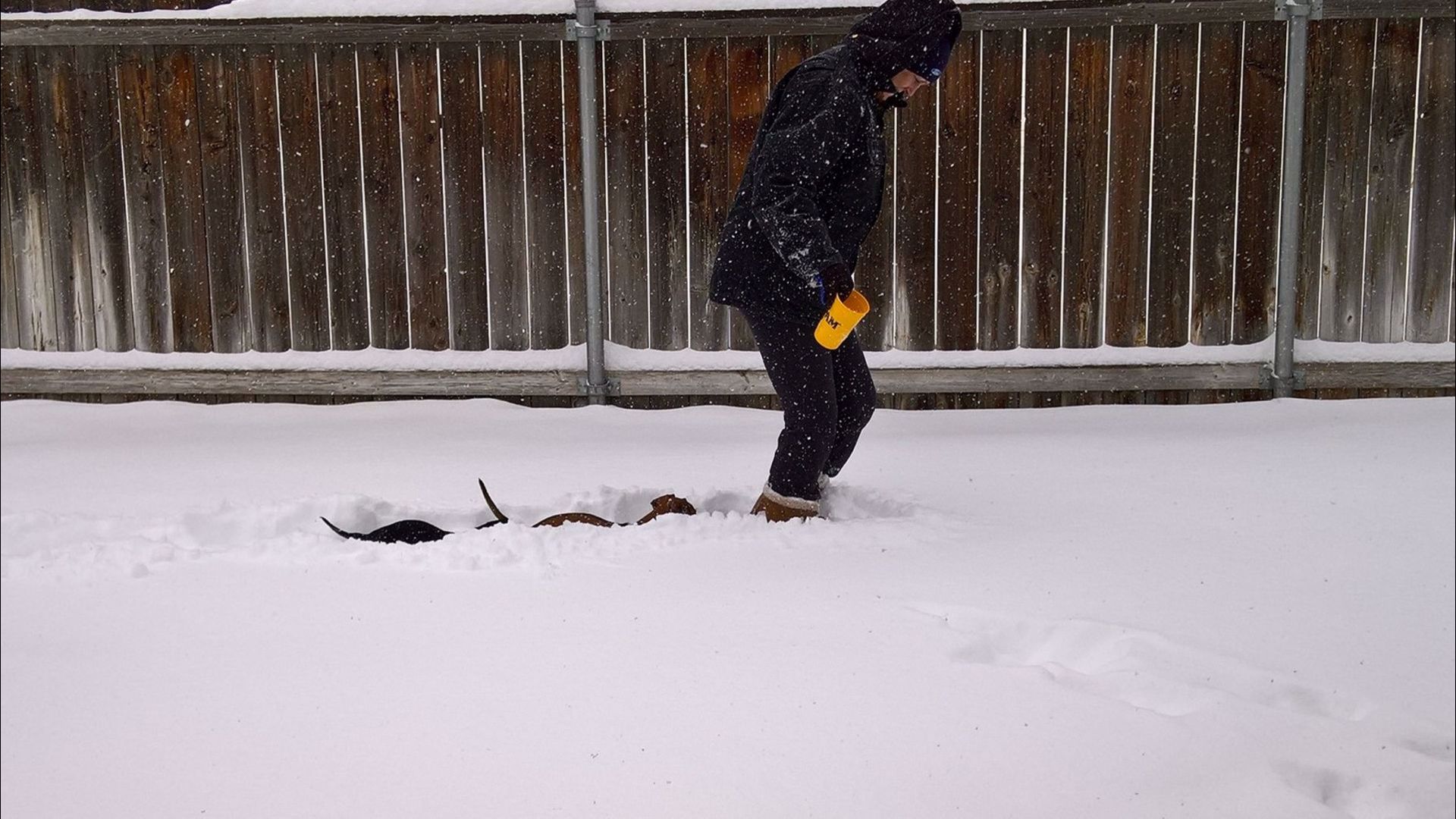 Snowmageddon 2017: Looking back at southern Idaho's epic snowy winter ...