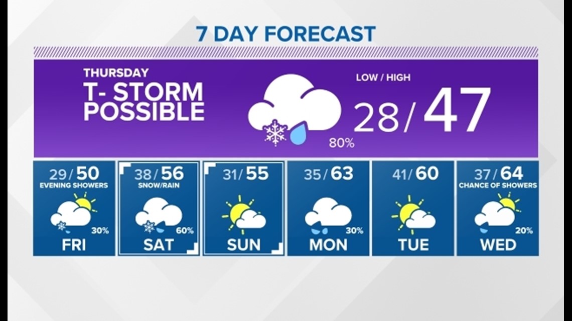 Woman seen torturing, killing cats and dogs on social media arrested in ...