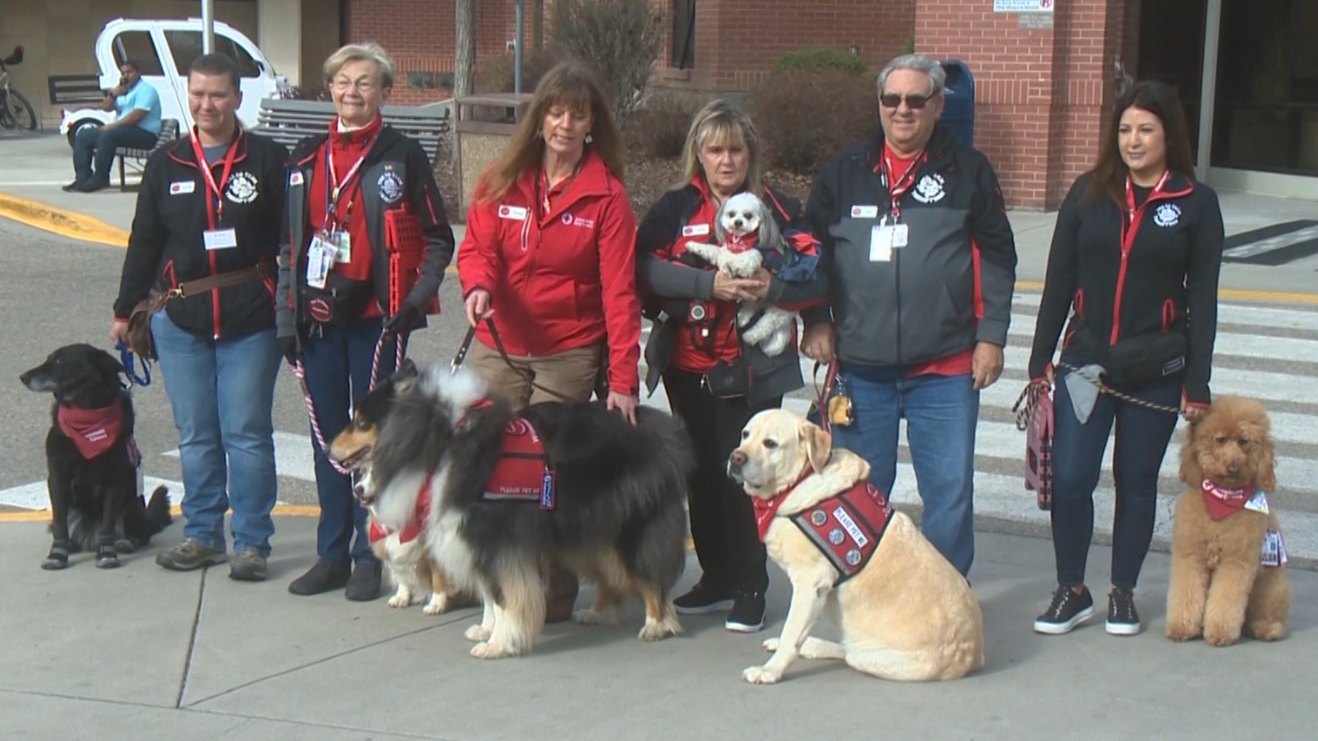 Red Cross therapy dogs head to Boise's VA to accompany veterans | ktvb.com