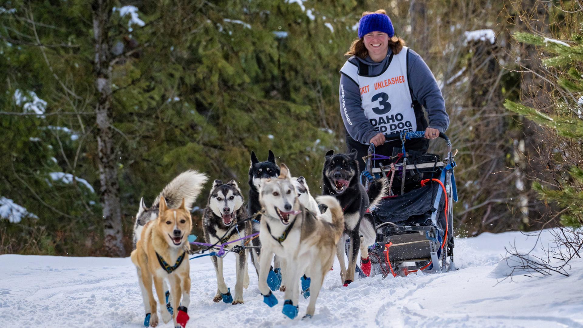 Mushers prepare for shortened 200-mile race at Idaho Sled Dog Challenge ...