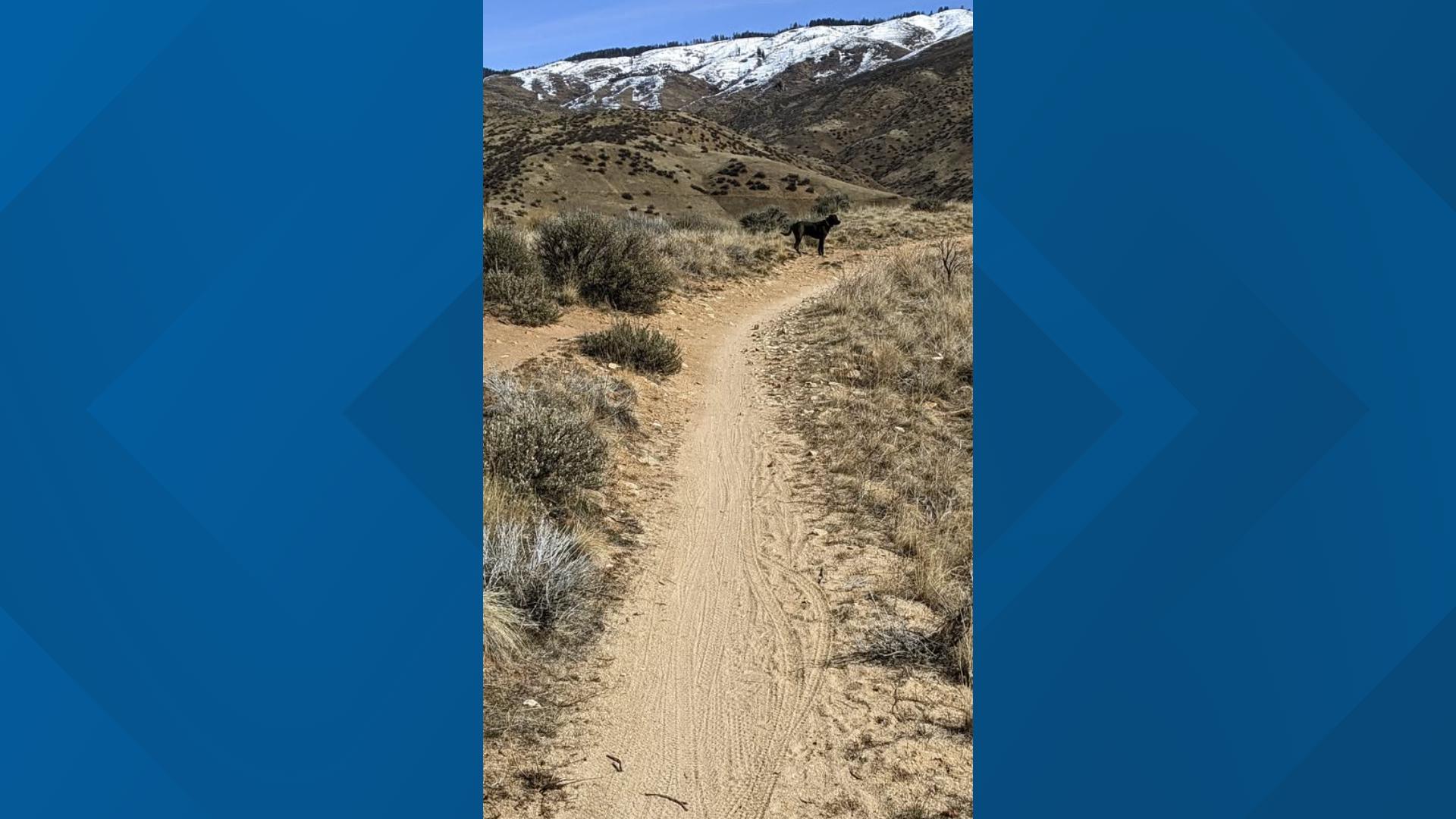 A 'solar-iously' warmer weekend enjoyed by all, no turkeys | ktvb.com
