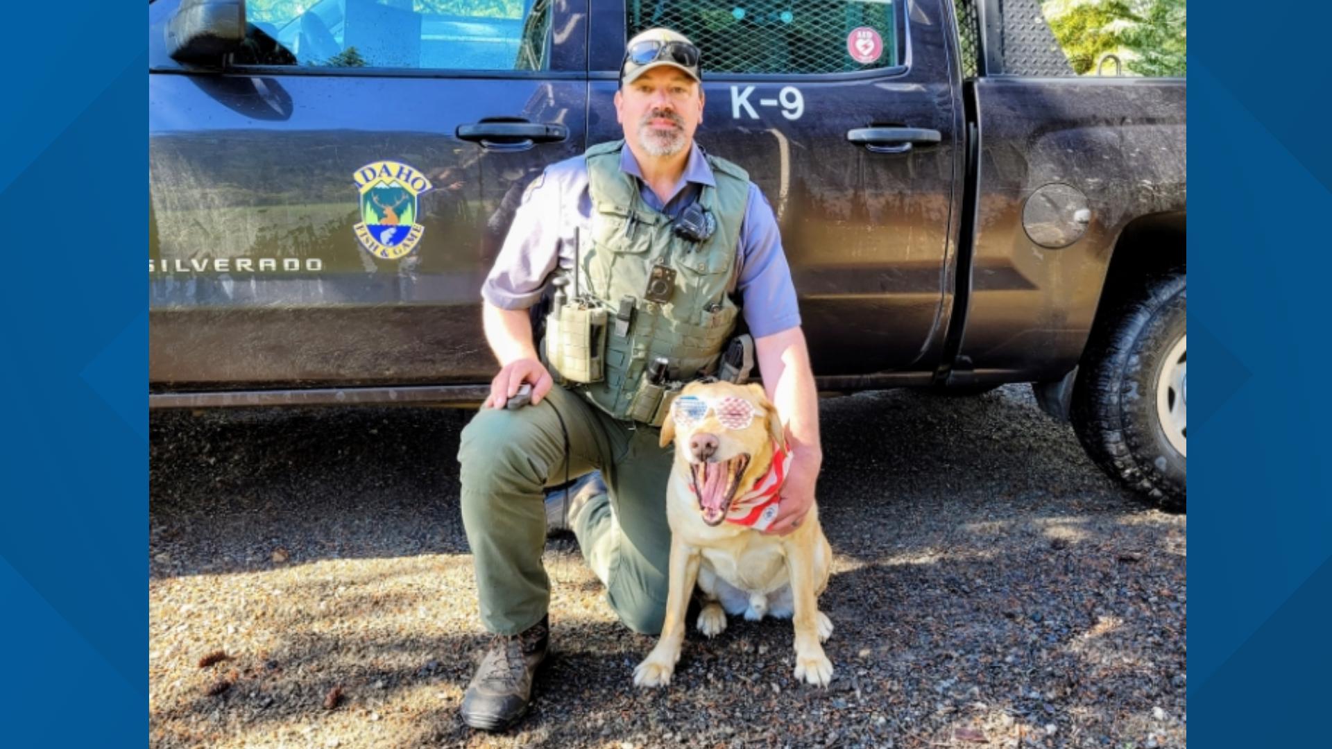 Hudson, K9 labrador, retires after 10 years of service in Idaho | ktvb.com
