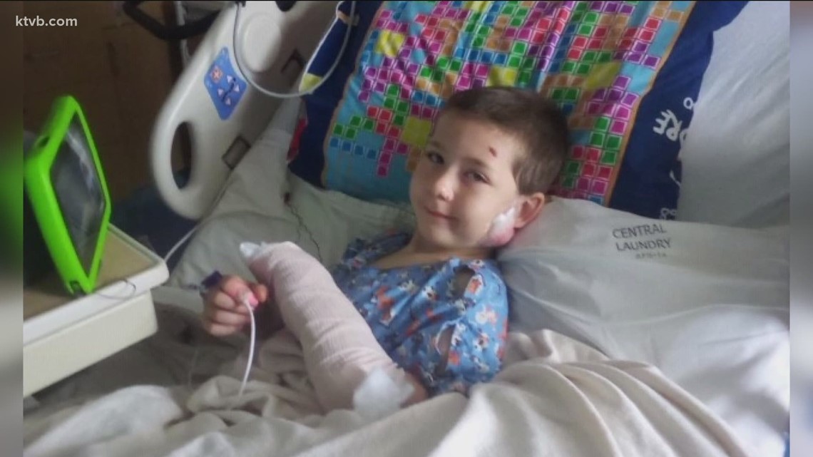 A look at gun safety after stray bullet hits 8-year-old in Garden ...