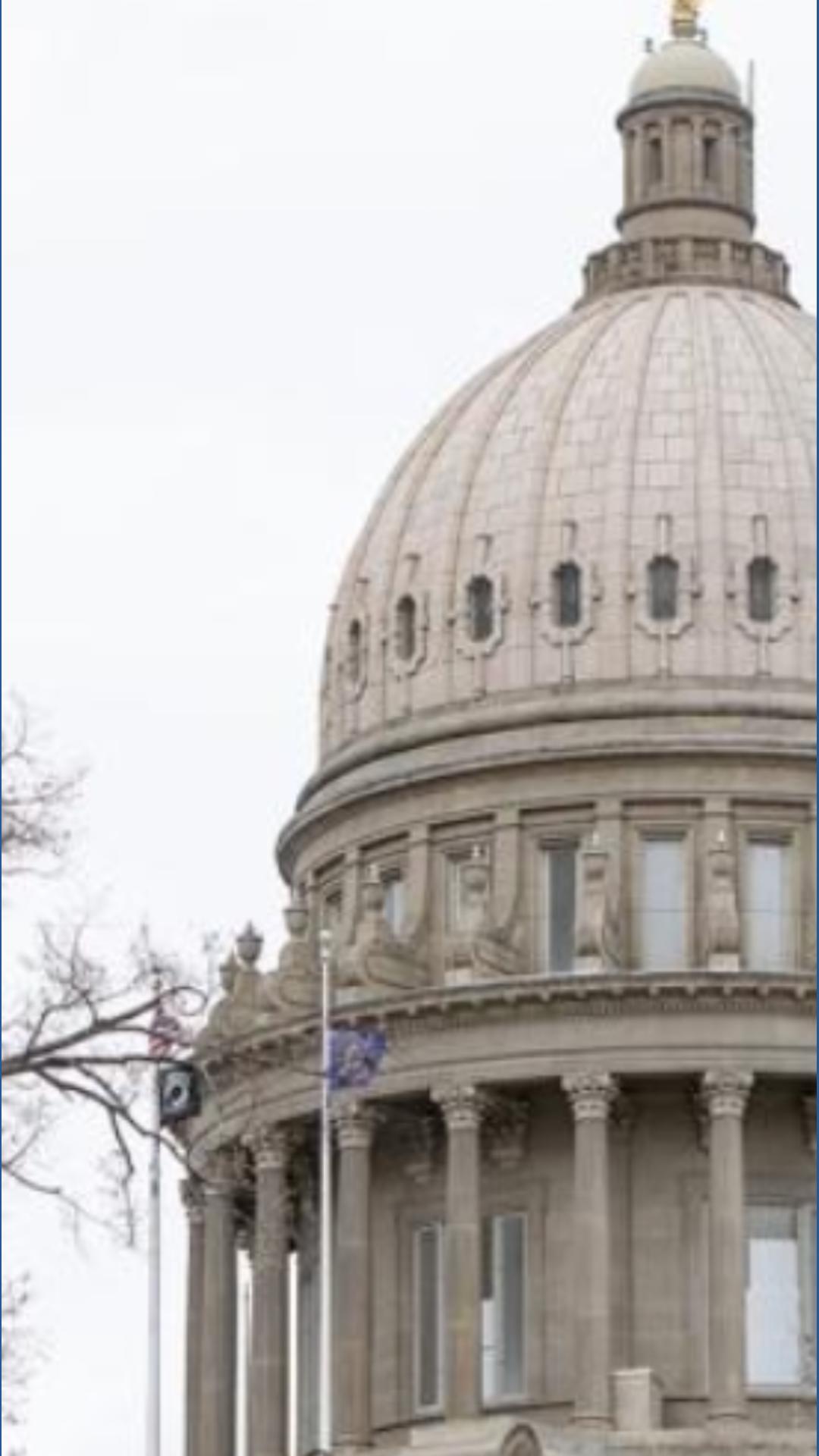 Senate committee advances bill making it illegal for trans people to ...