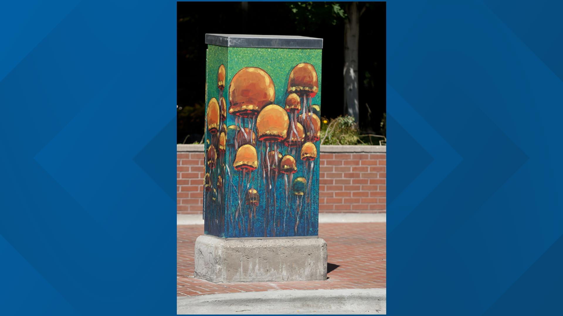 Boise City 'Traffic Box Program' | ktvb.com