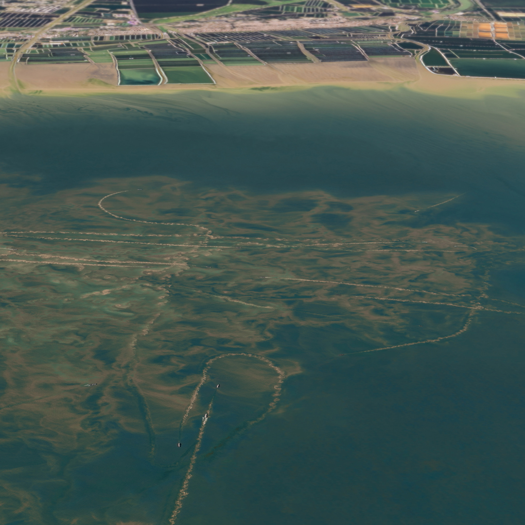 Trawling's devastating effects featured in 'Ocean With David ...