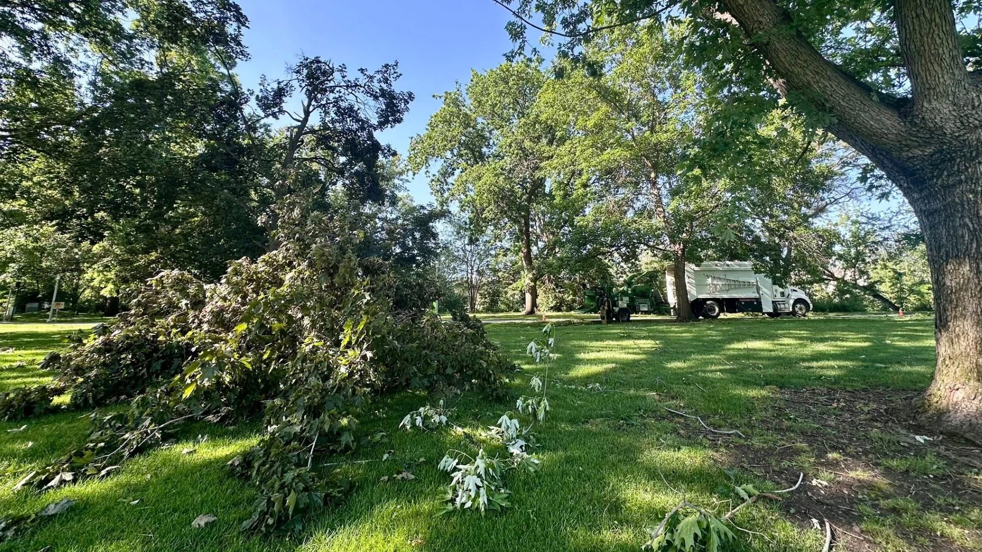 Boise's Community Forestry team responds to tree damage following storm ...