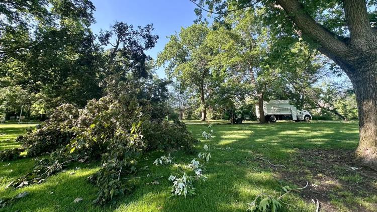 Boise's Community Forestry team responds to tree damage following storm ...