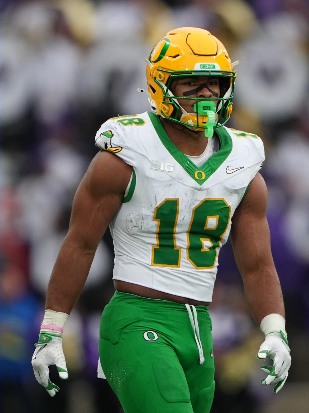 Oregon's Kenyon Sadiq and Dillon Thieneman have declared for the NFL ...