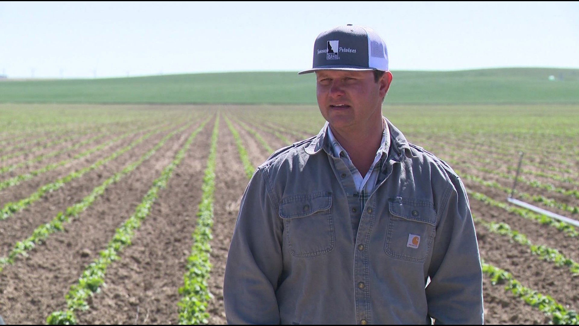 Idaho's famed potato acres shrink amid demand dip | ktvb.com