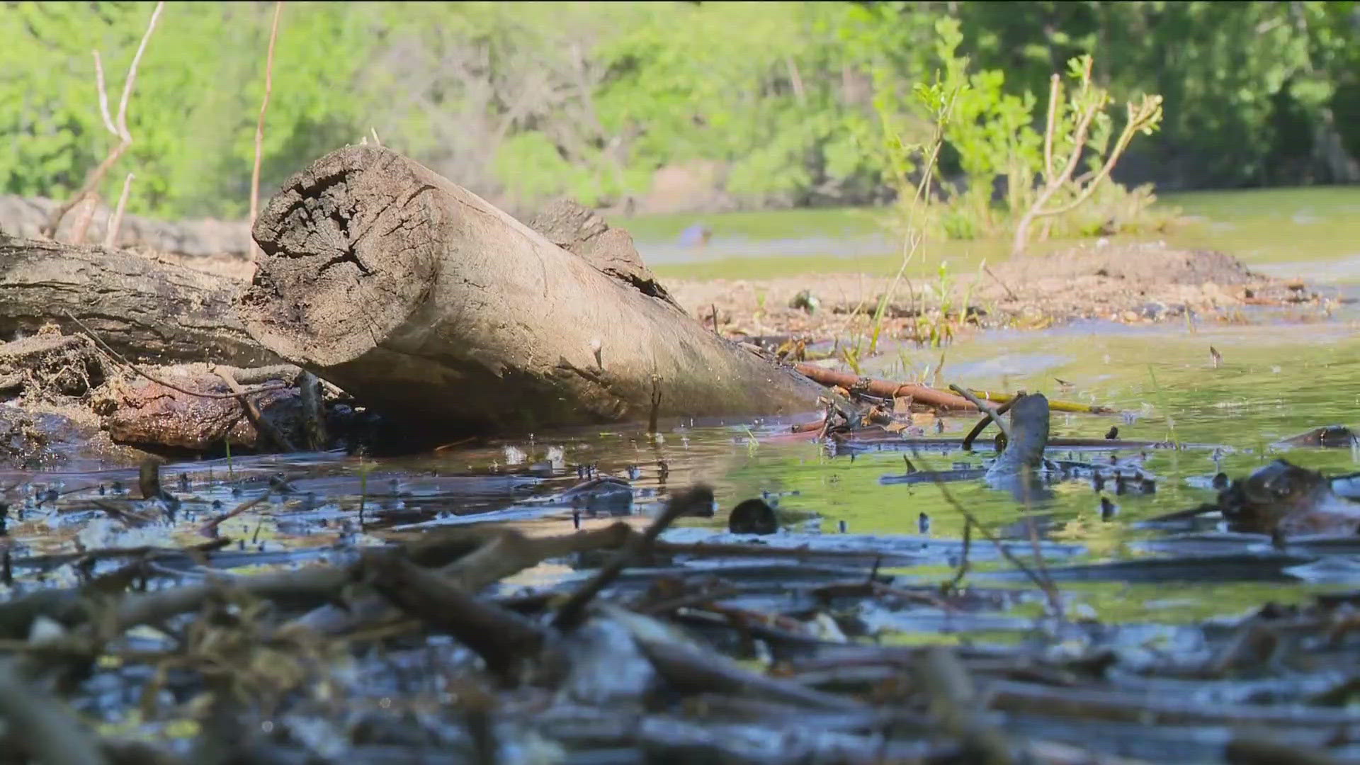 Boise River graded B-minus in new community report | ktvb.com