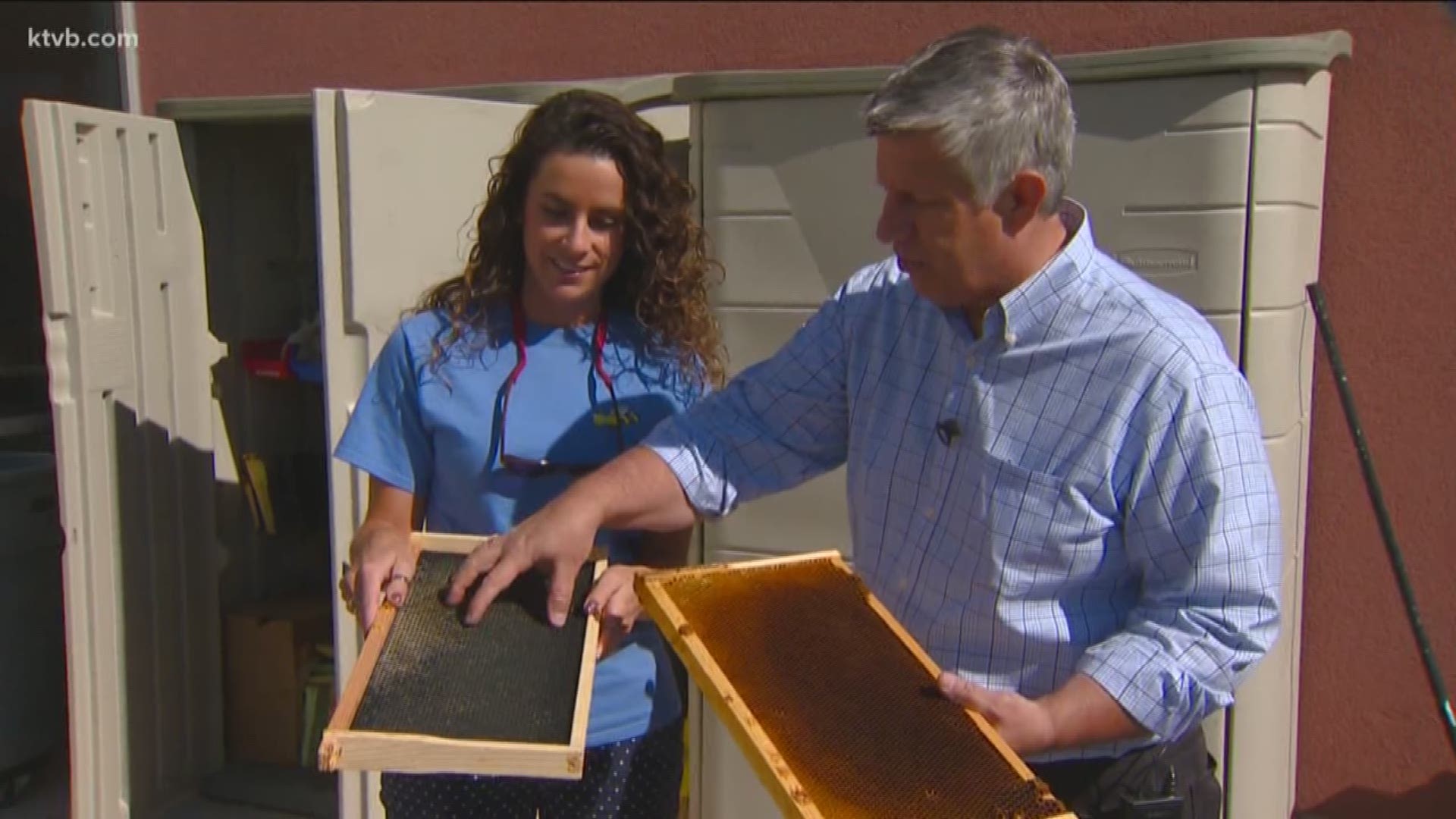 You Can Grow It: Boise State Bee Team harvest | ktvb.com