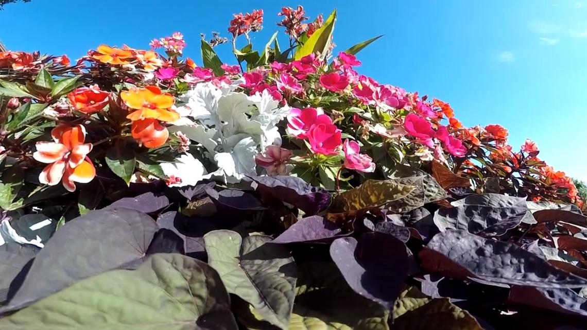 You Can Grow It: A visit to Scentsy Commons | ktvb.com