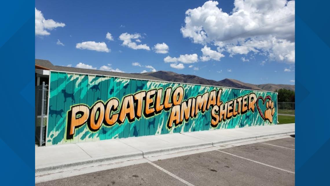 Kandi Hall details her relationship with attorney who was killed | ktvb.com