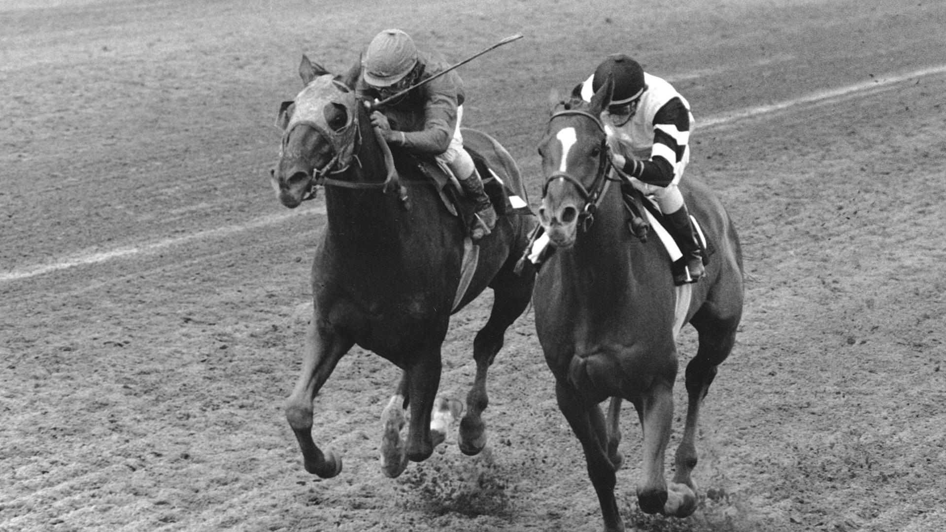 New Ridge to Rivers map is more interactive for trail users | ktvb.com