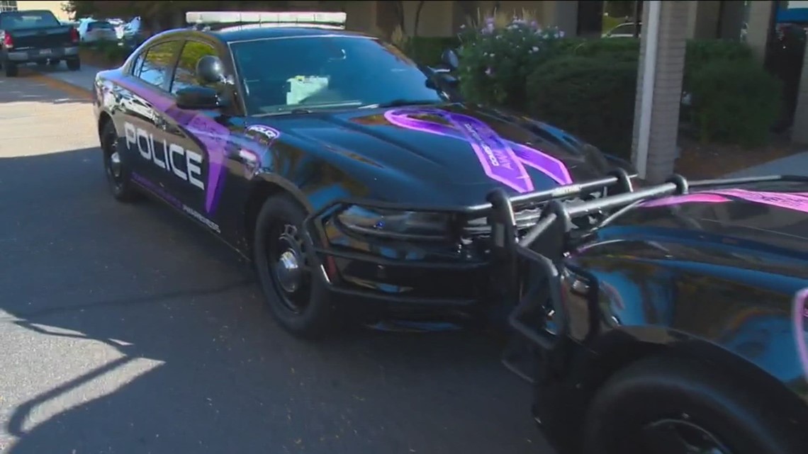Boise Police Department unveils specialty cars in honor of awareness ...