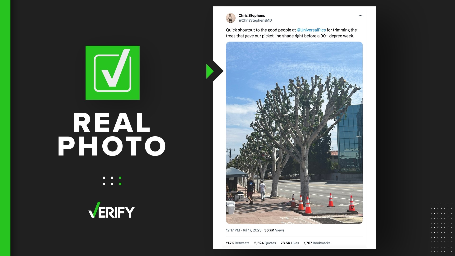 Universal trimmed trees photo is real | ktvb.com