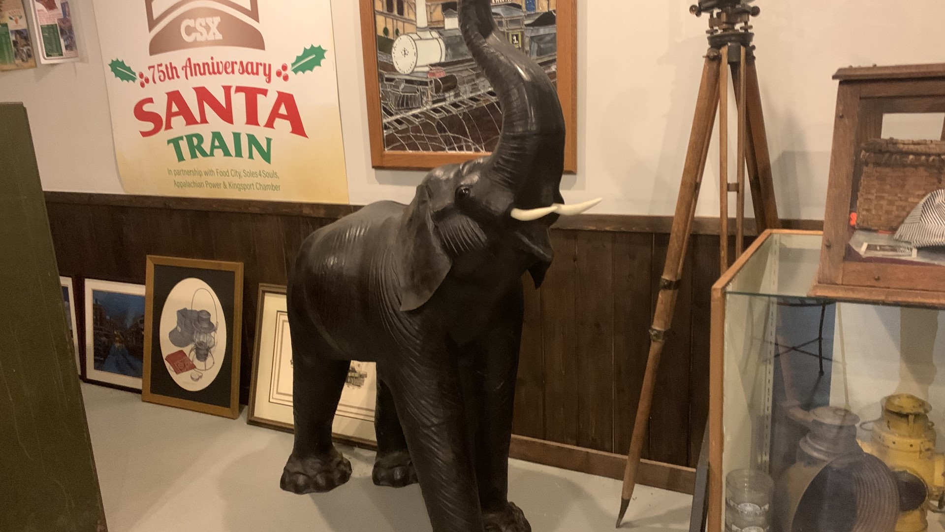 TN town's reputation suffers after elephant hanging | ktvb.com