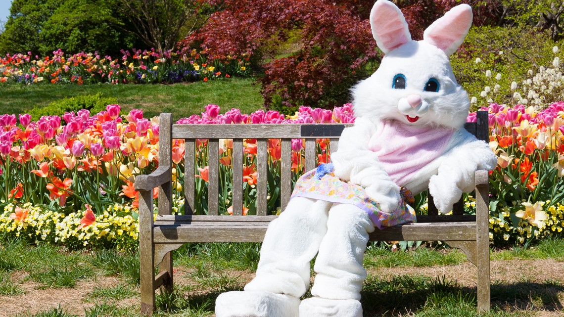 'Here Comes Peter Cottontail': How the bunny hopped into the Easter ...