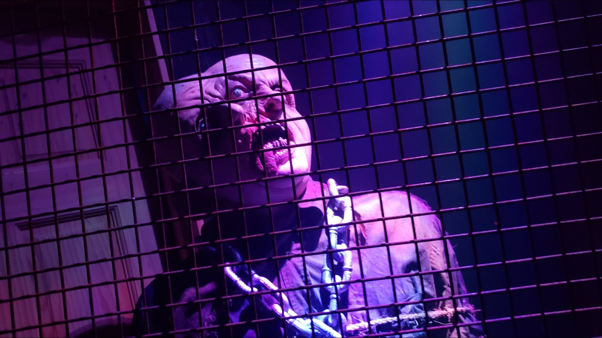 PHOTOS | Ghoul Brothers haunted house in Akron | ktvb.com